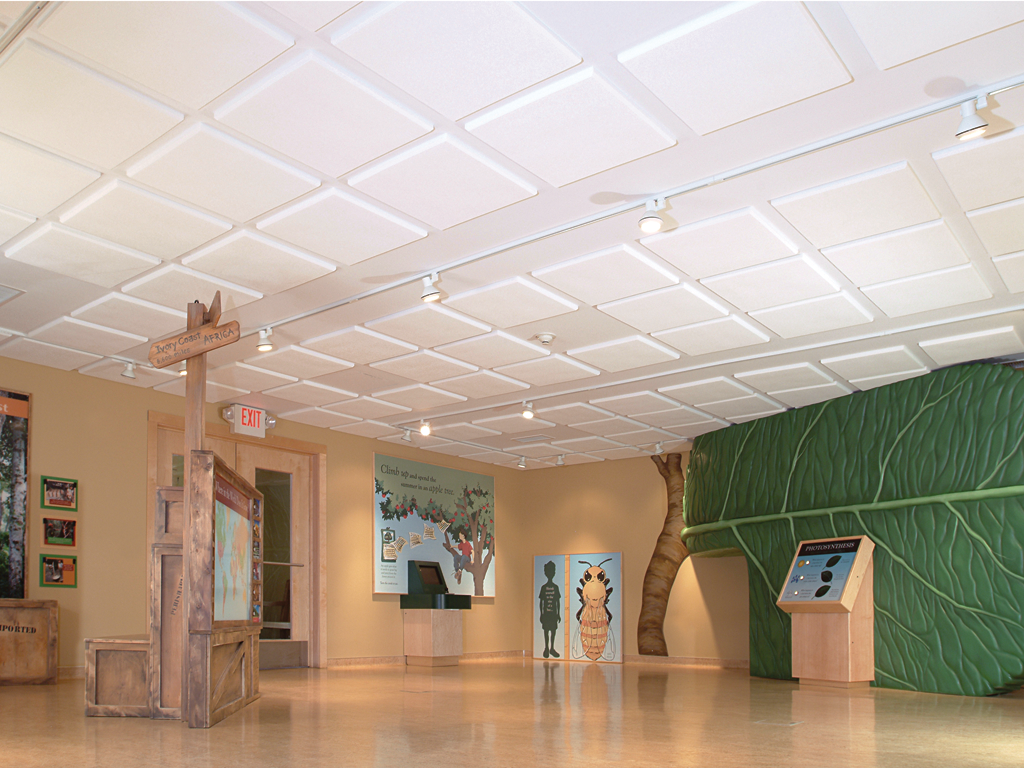 Foam Acoustical Walls & Ceilings - Golterman & Sabo