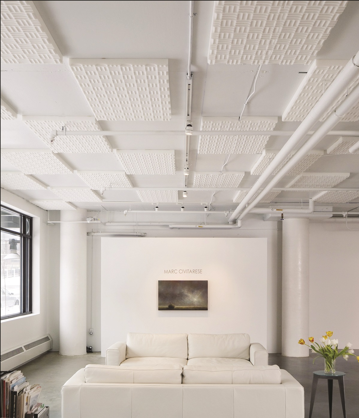 Foam Acoustical Walls & Ceilings - Golterman & Sabo